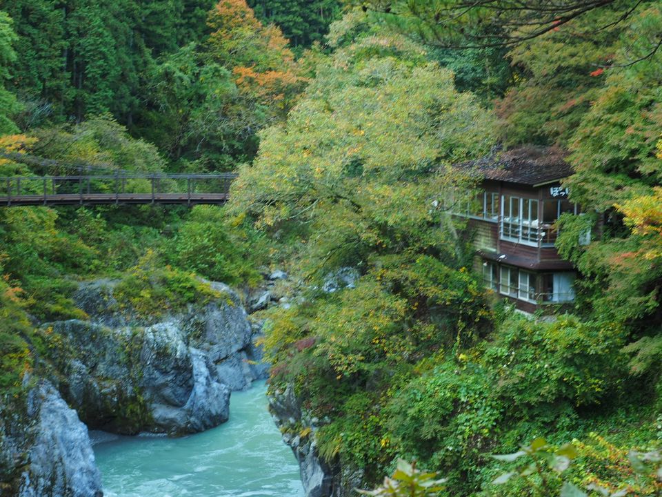 TAMASHIMA Instameet - See Okutama's Beautiful Autumn Foliage! | MATCHA ...
