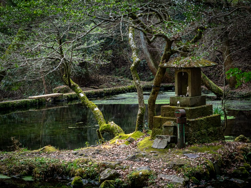 Amazing Seasonal Scenery And Great Food! 6 Things To Enjoy In Kumamoto ...