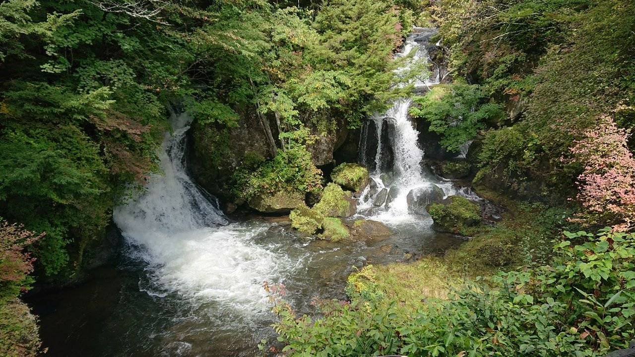 Nikko Guide – Travel Attractions, Food, And Discount Transport Info ...