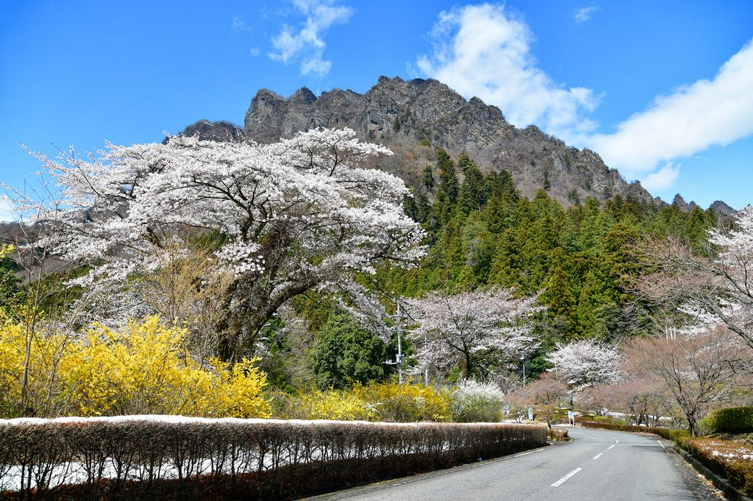Near Tokyo! Fun Things To Do Tomioka, A Picturesque City In Gunma ...