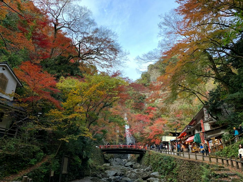 Osaka's 10 Best Fall Foliage Spots In 2019 | MATCHA - JAPAN TRAVEL WEB ...