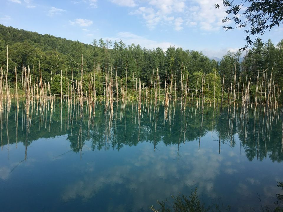 Hokkaido's Shirogane Blue Pond - A Stunning Sight Created By Accident ...