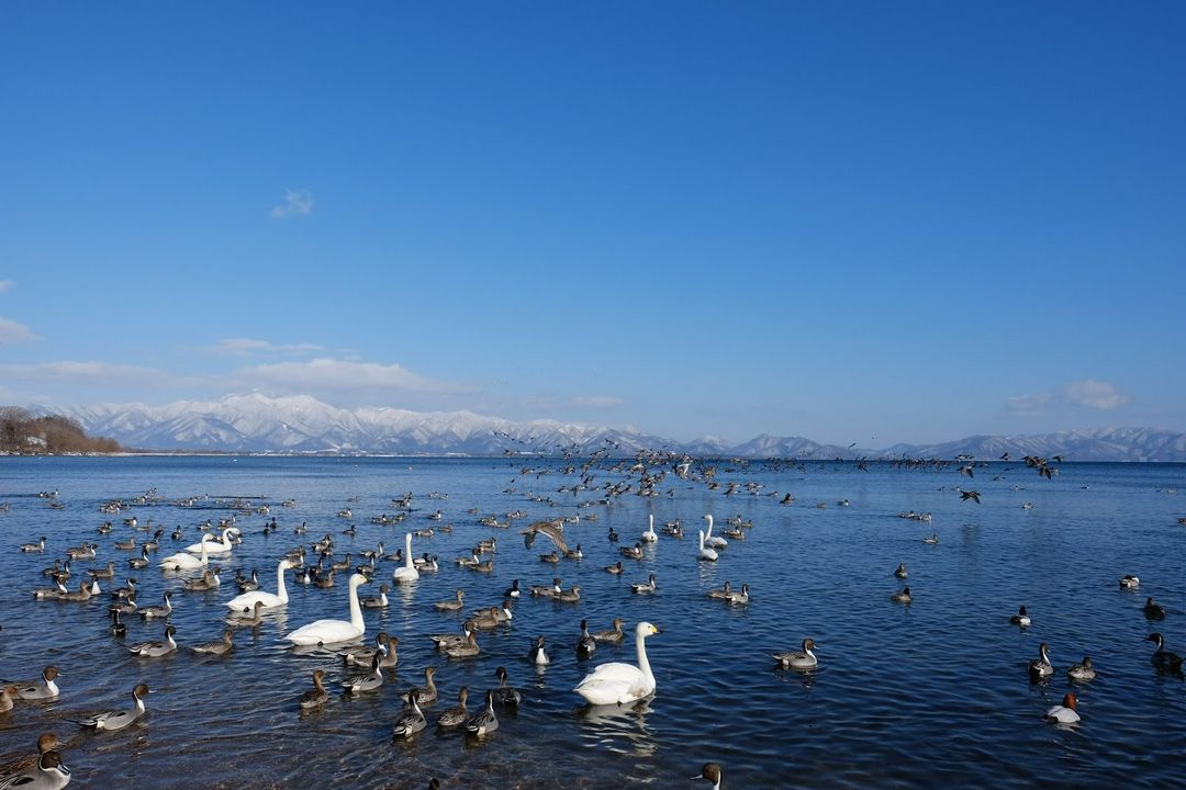 Great Scenery And Cuisine! 2-Day Fukushima Trip By Train Or Rental Car ...