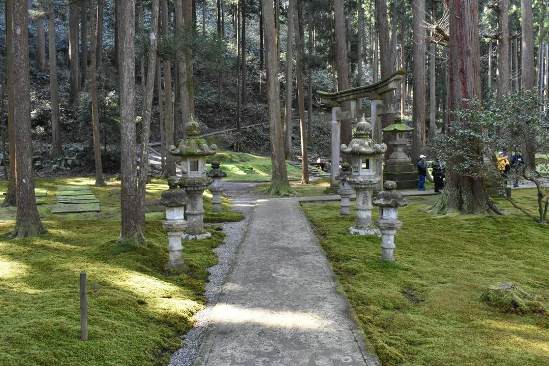 Japan's Moss Village, Koke No Sato - A Studio Ghibli-Like Wonderland ...