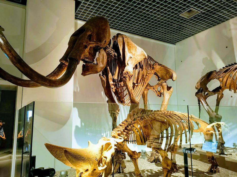 Meet Hachiko! 5 Places Related To Japan's Famous Loyal Dog | MATCHA ...