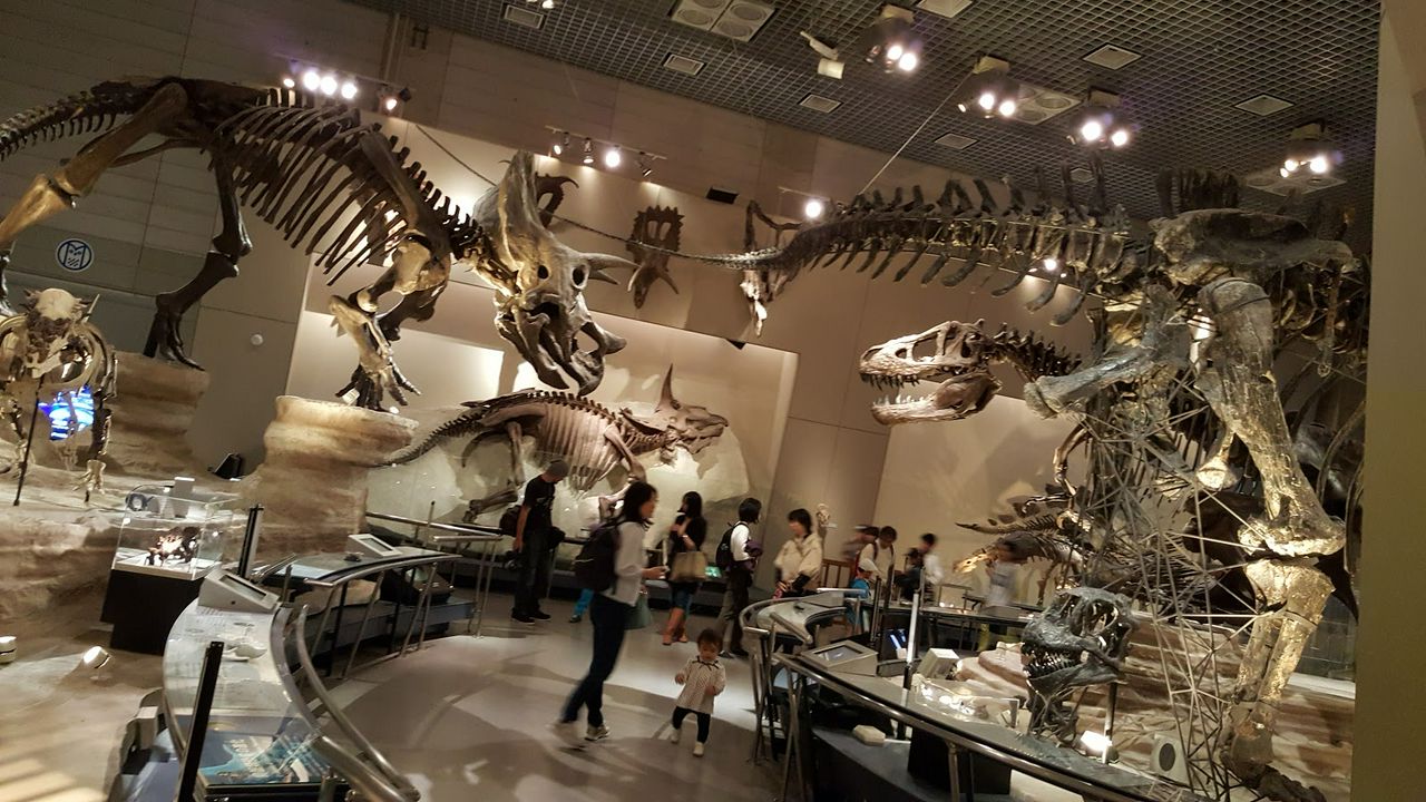 Meet Hachiko! 5 Places Related To Japan's Famous Loyal Dog | MATCHA ...