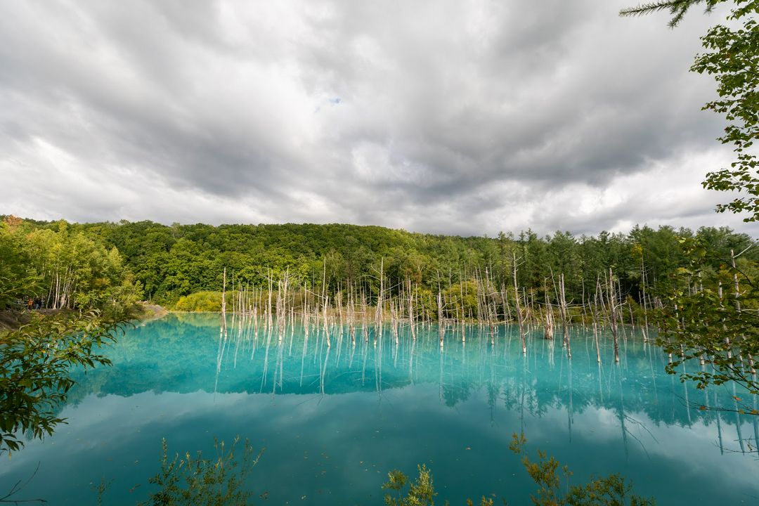 Hokkaido's Shirogane Blue Pond - A Stunning Sight Created By Accident ...